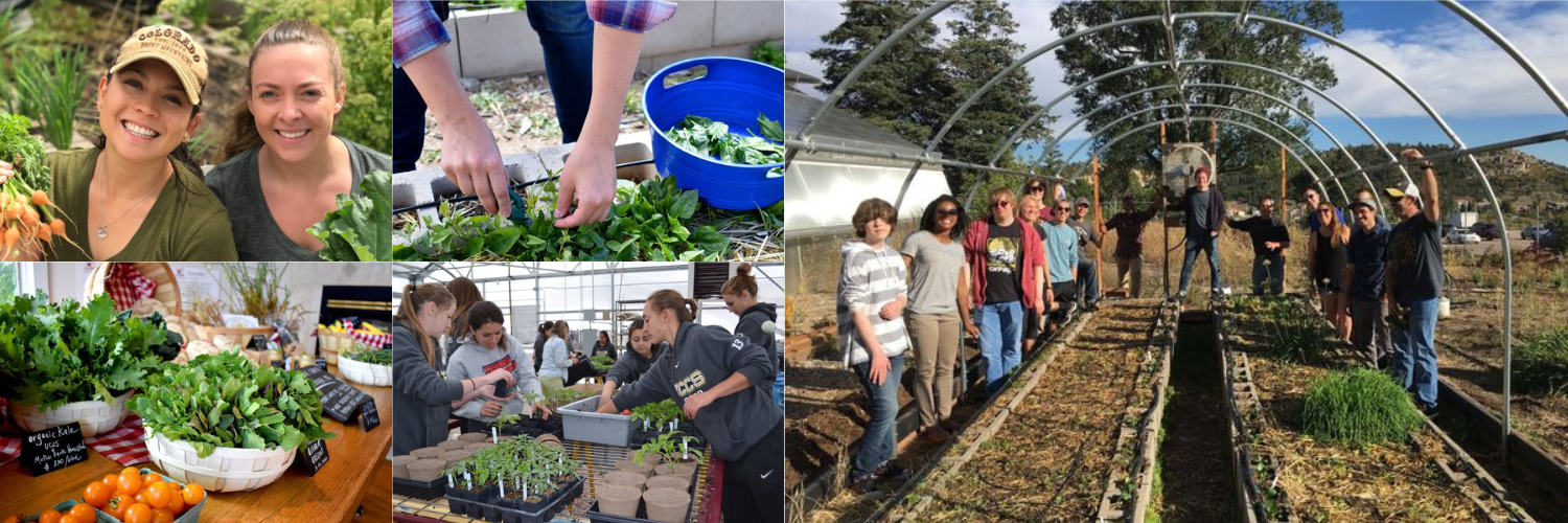 Farm to Table Learning Community | Gateway Program Seminar